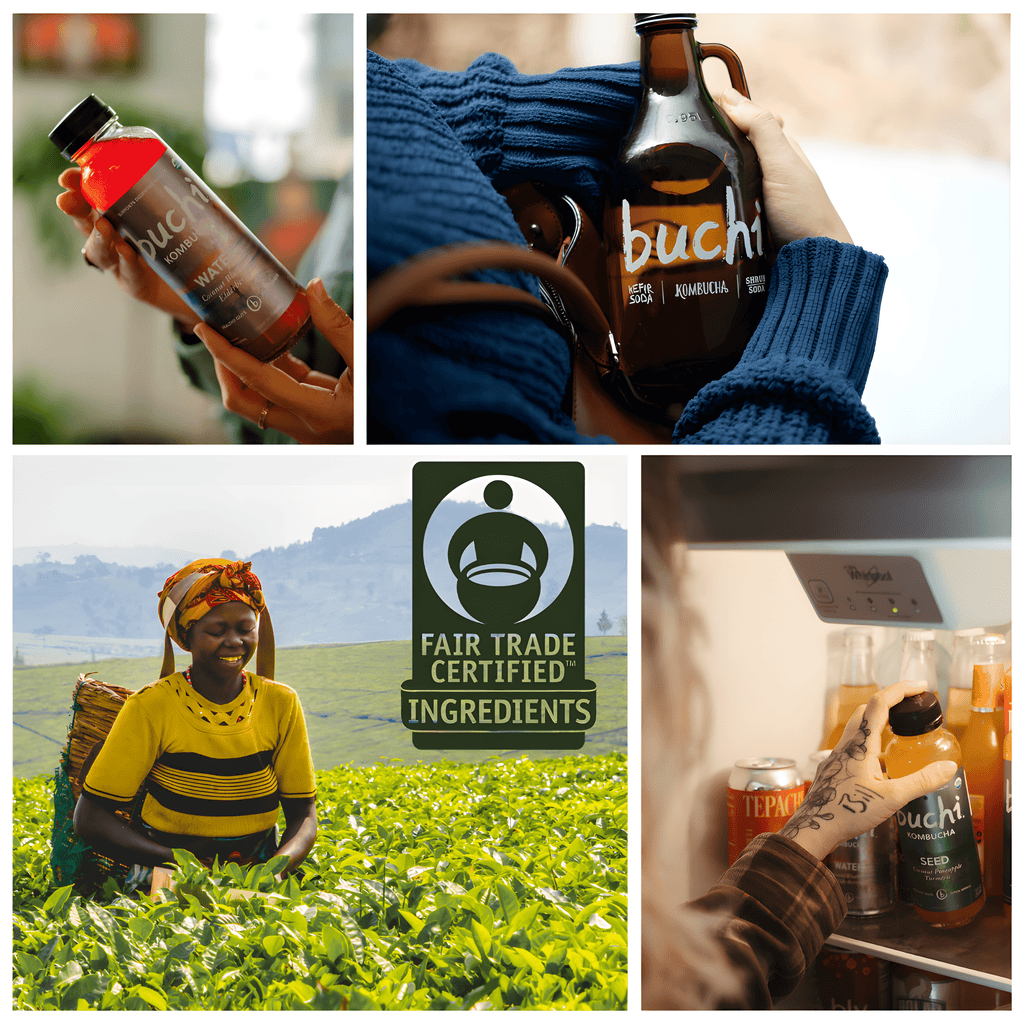 Buchi Organic Kombucha - Organic Soda Pops