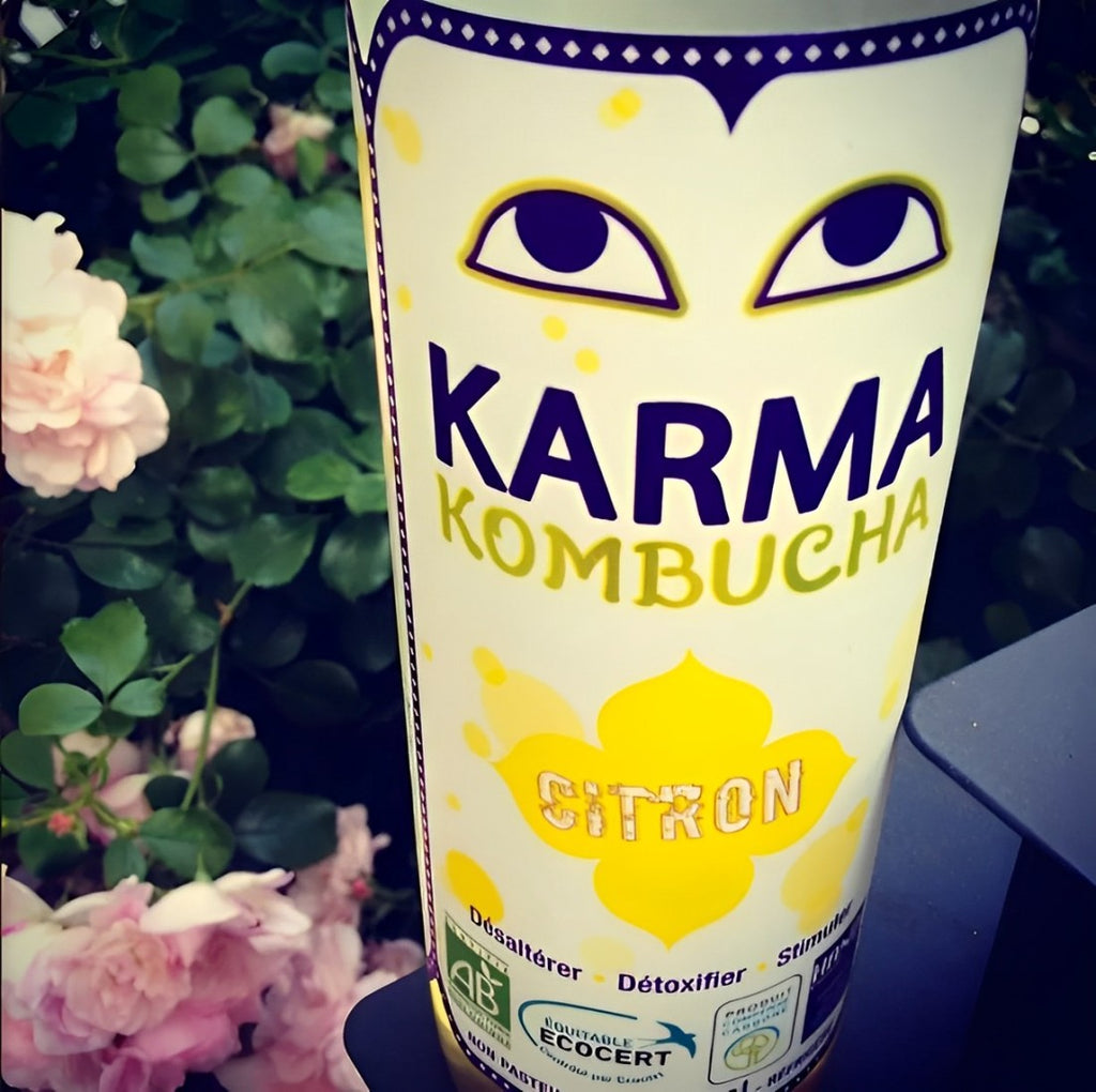 Karma Kombucha - Organic Soda Pops