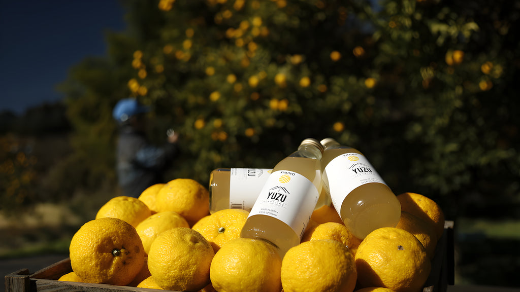 Kimino Sparkling Organic Fruit Drinks - Organic Soda Pops