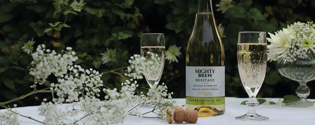 Mighty Brew Organic Kombucha - Organic Soda Pops