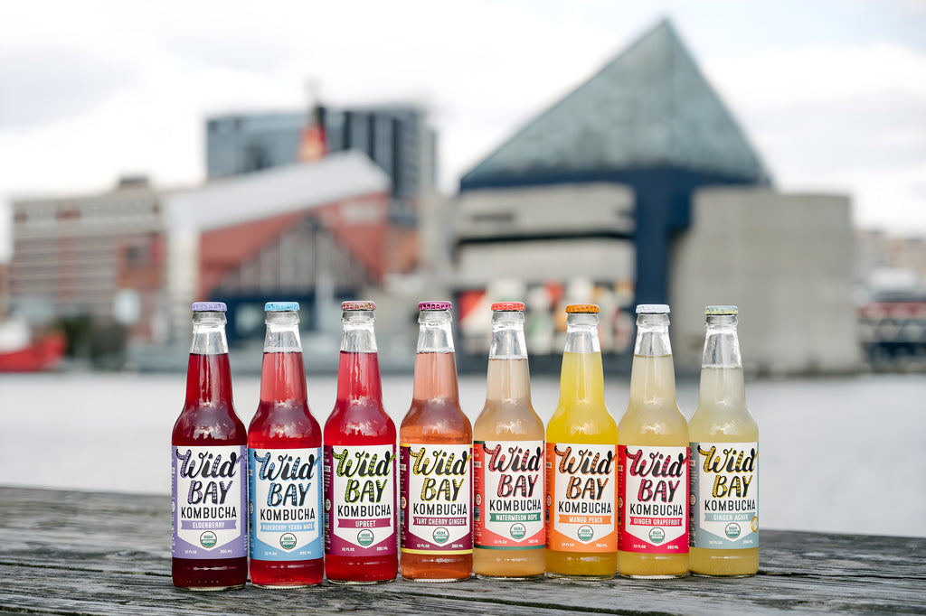 Wild Bay Organic Kombucha - Organic Soda Pops